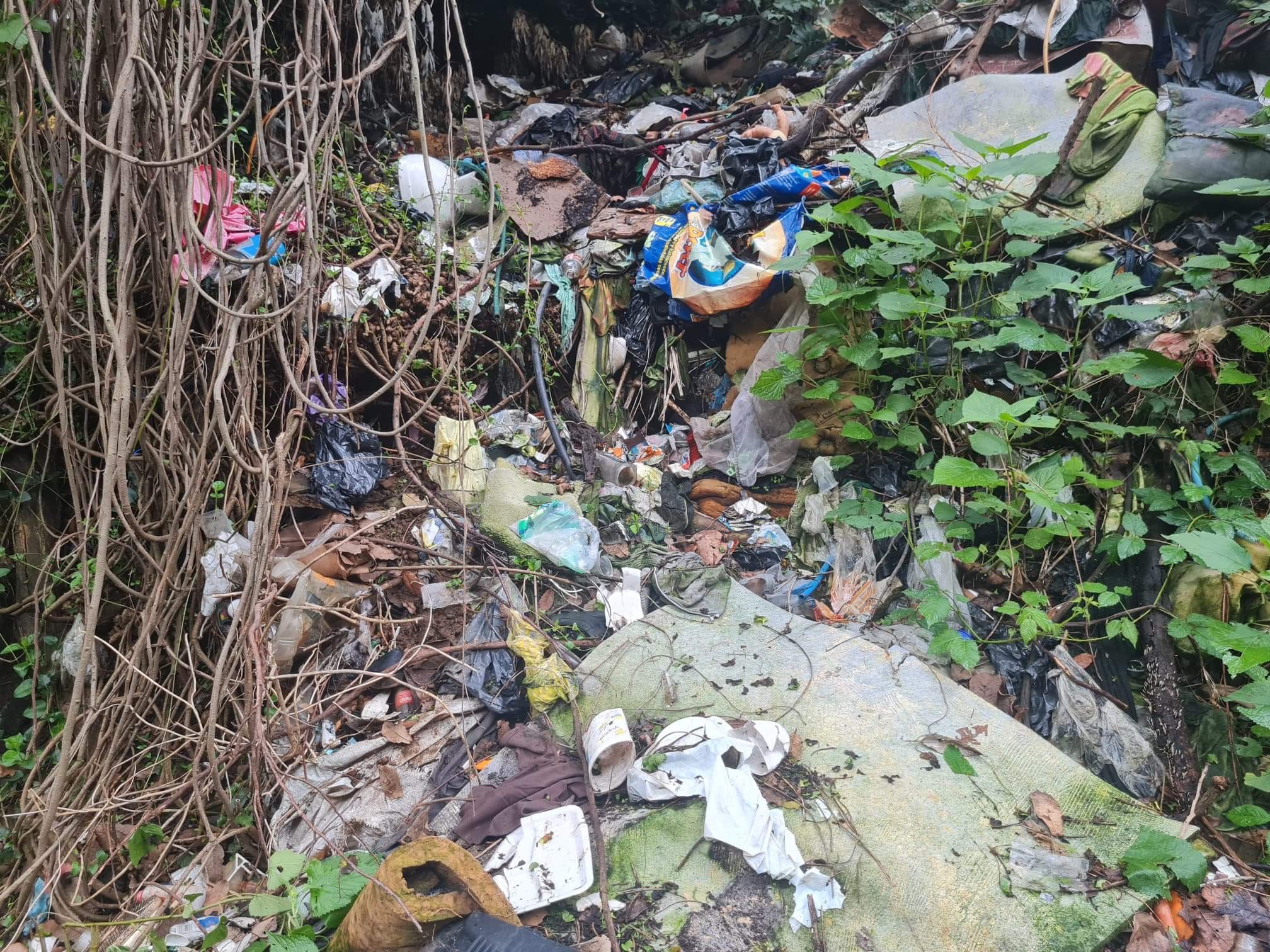 Vecinos de Tlalpan denuncian toneladas de basura en el Río Eslava ...
